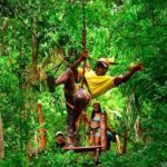 Go City Cancun Explorer Pass: Save up to 50% on Attractions - Authentic Feedback