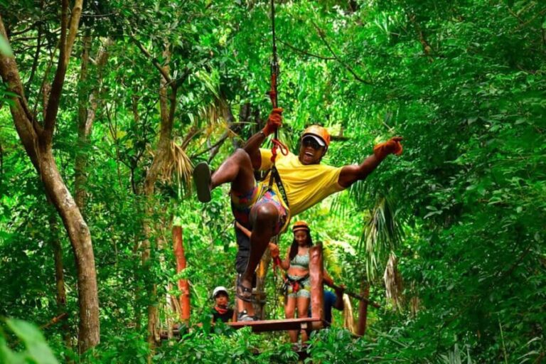 Go City Cancun Explorer Pass: Save up to 50% on Attractions - Authentic Feedback