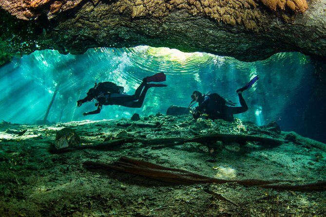 Go for 2 dives in cenote Dos ojos for certified divers - Why This Tour Stands Out