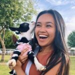 Goat and Alpaca Sound Bath - Gilbert Arizona - Practical Details and Value for Money