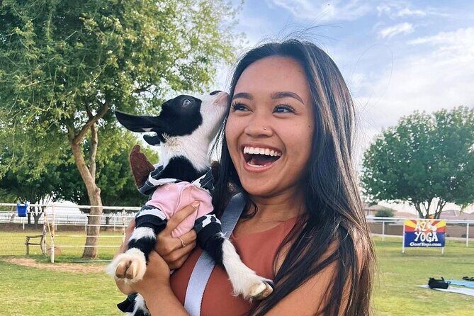 Goat and Alpaca Sound Bath - Gilbert Arizona - Practical Details and Value for Money