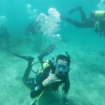 Goat Island Experience Guided Boat Dive - Who Will Love This Tour?