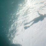 Goat Island Experience Guided Boat Snorkel Tour - Analyzing the Value: Is It Worth It?