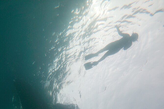 Goat Island Experience Guided Boat Snorkel Tour - Analyzing the Value: Is It Worth It?