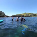 Goat Island Guided Snorkeling Tour for Beginners - Who Will Love This Tour?
