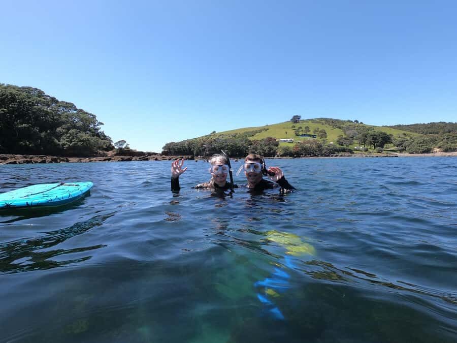Goat Island Guided Snorkeling Tour for Beginners - Who Will Love This Tour?