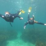 Goat Island Guided Snorkelling Tour For Advanced - Transportation, Pricing, and Group Size