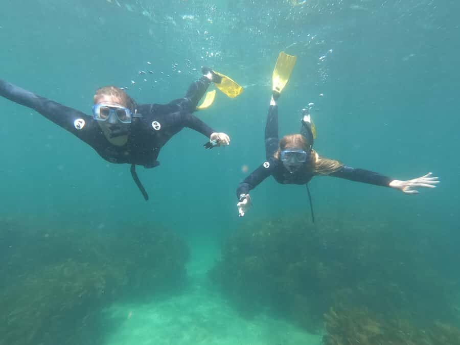Goat Island Guided Snorkelling Tour For Advanced - Transportation, Pricing, and Group Size