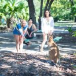 Gold Coast: 1.5-Hour Jet Ski Safari to Stradbroke Island - Practical Details and Considerations