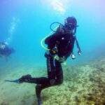 Gold Coast: 3-Day PADI Open Water Course - What to Expect from the Course