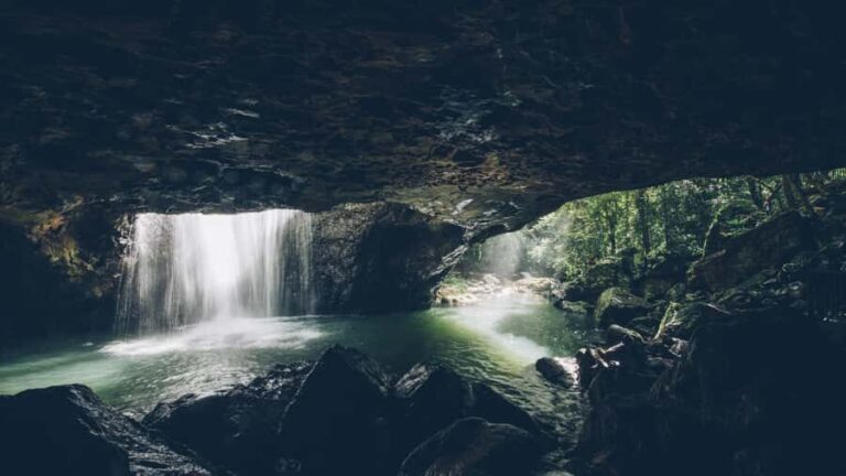 Gold Coast: 6 Waterfalls, Koalas & Natural Bridge Day Tour - A Deep Dive into the Tour Experience