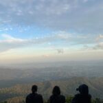 Gold Coast Fun Tour - FAQs