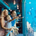 Gold Coast: Jet Boat Ride & Sea World Entry Ticket - Who Will Love This Experience?