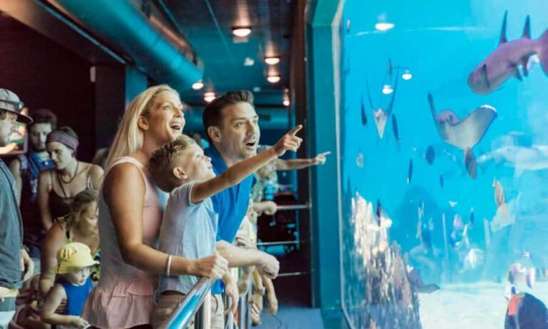 Gold Coast: Jet Boat Ride & Sea World Entry Ticket - Who Will Love This Experience?