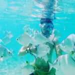 Gold Coast: Kayaking and Snorkeling Guided Tour - What to Expect During the Tour