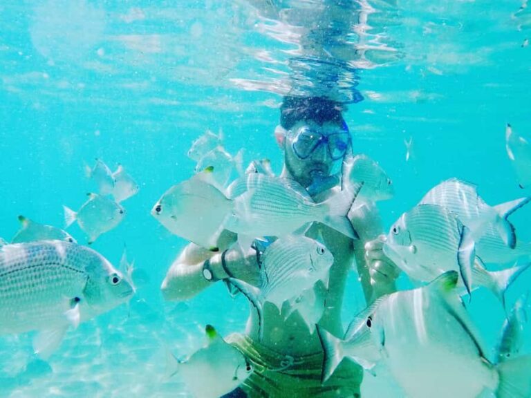 Gold Coast: Kayaking and Snorkeling Guided Tour - What to Expect During the Tour