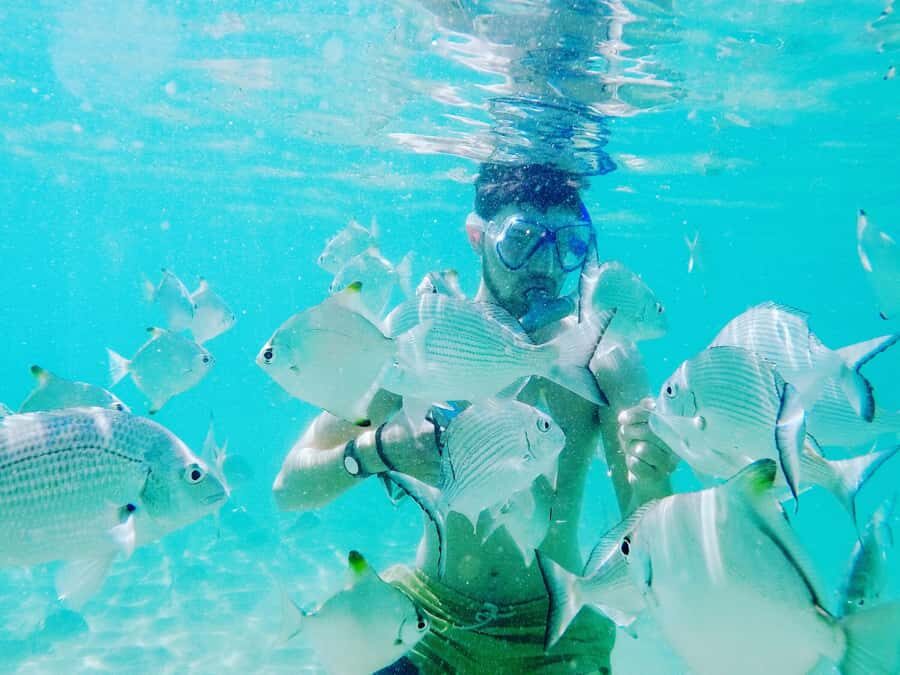 Gold Coast: Kayaking and Snorkeling Guided Tour - What to Expect During the Tour