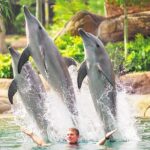 Gold Coast: Movie World, Sea World, Wet'n'Wild 14-Day Pass - Practical Tips for Making the Most of Your Pass