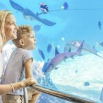 Gold Coast: Movie World, Sea World & Wet'n'Wild 7-Day Pass - Authentic Experiences and Hidden Gems