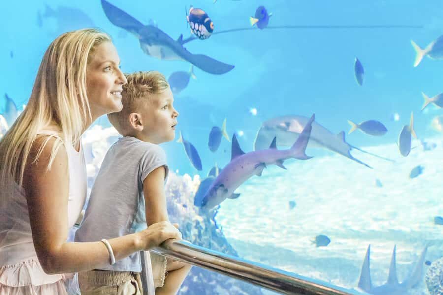 Gold Coast: Movie World, Sea World & Wet'n'Wild 7-Day Pass - Authentic Experiences and Hidden Gems