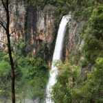Gold Coast: Natural Bridge & Springbrook Waterfalls Tour - Who Will Love This Tour?