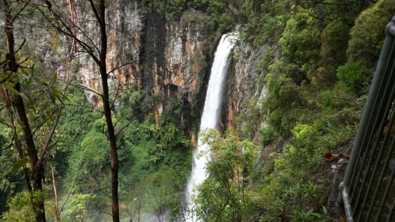 Gold Coast: Natural Bridge & Springbrook Waterfalls Tour - Who Will Love This Tour?
