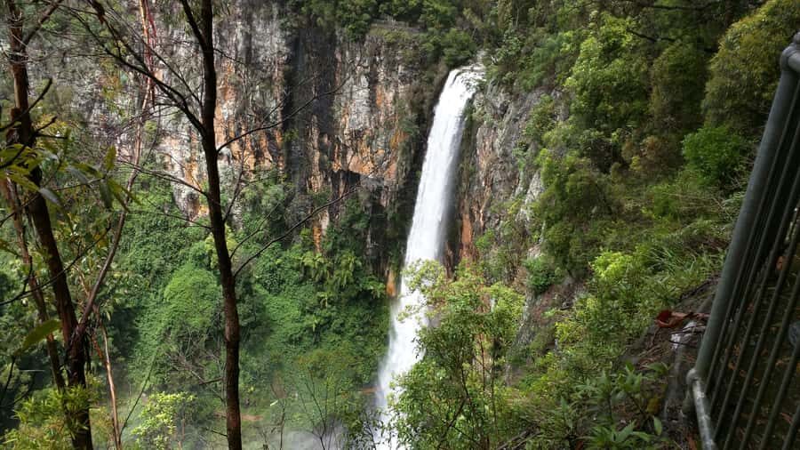 Gold Coast: Natural Bridge & Springbrook Waterfalls Tour - Who Will Love This Tour?