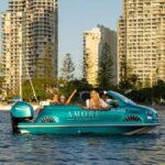 Gold Coast: Private City Lights Tour - Practical Details and Considerations