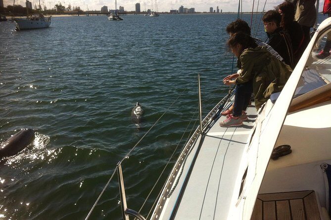 Gold Coast Sailing Cruise with sparkling wine & nibbles platter - Why This Tour Offers Great Value