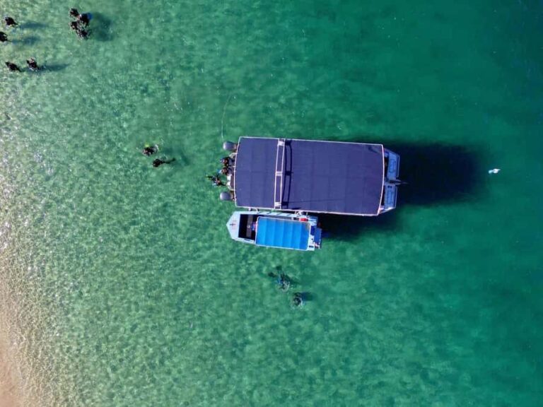 Gold Coast: Snorkelling in Wave Break Island - The Itinerary in Detail