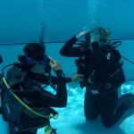 Gold Coast: SSI Open Water Diver Course - The Marine Environment Youll Explore
