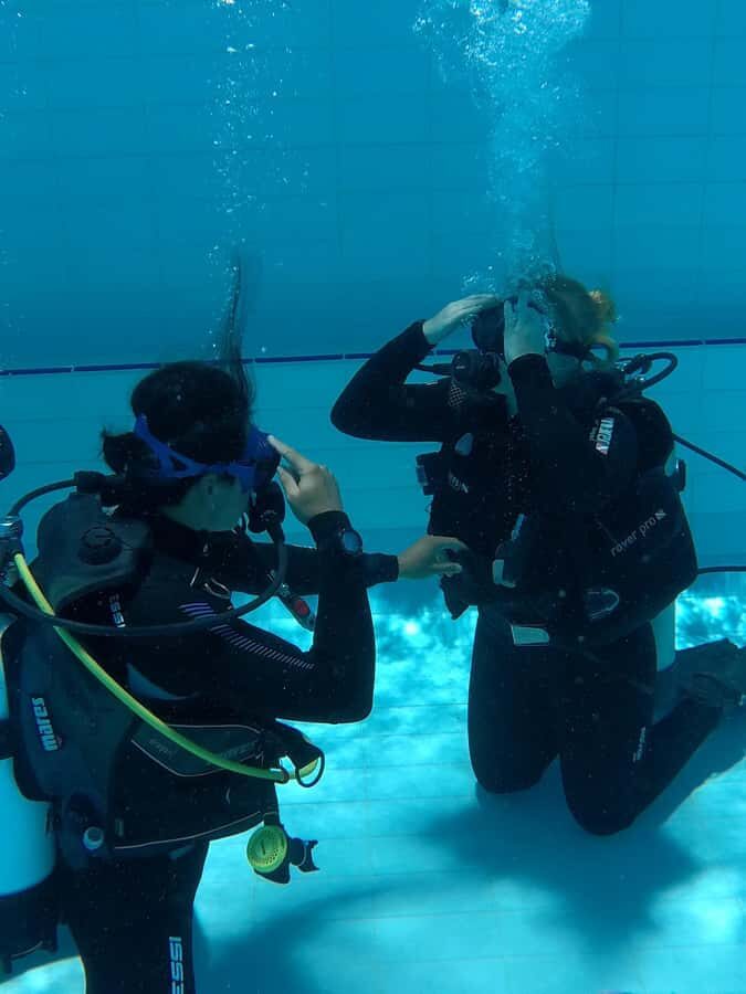Gold Coast: SSI Open Water Diver Course - The Marine Environment Youll Explore