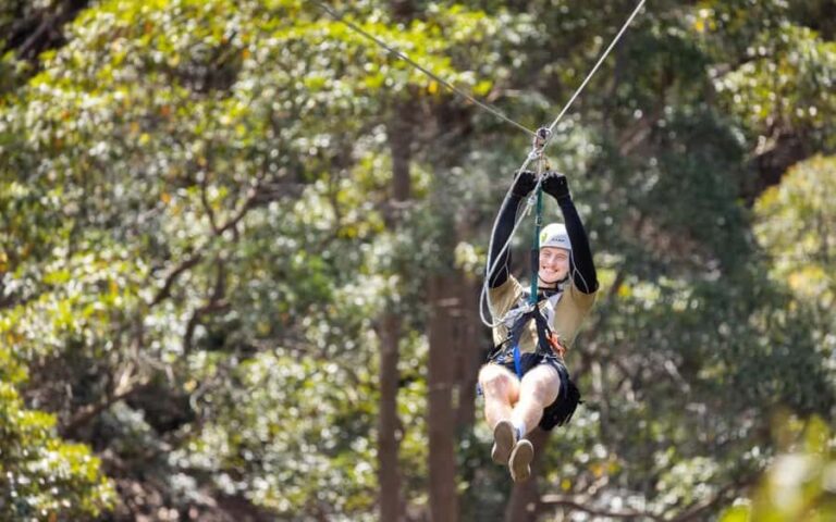 Gold Coast: Tamborine Mountain Canyon Flyer Zipline Tour - Authentic Insights from Reviewers