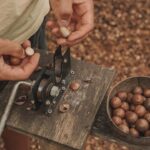 Gold Coast: Tropical Fruit World Full Farm Tour - Is It Worth the Cost?