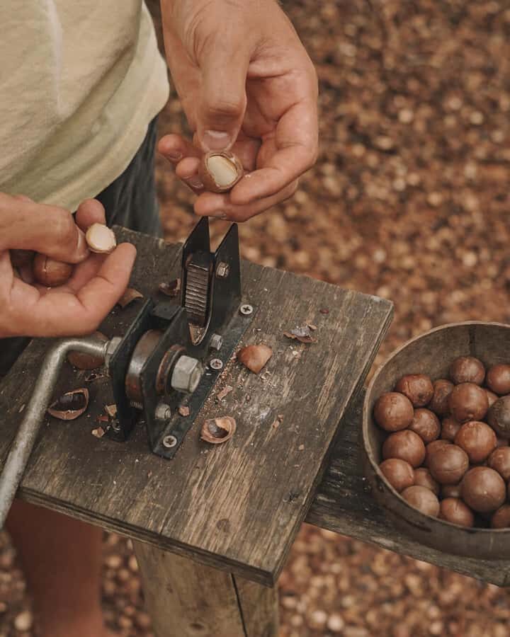 Gold Coast: Tropical Fruit World Full Farm Tour - Is It Worth the Cost?
