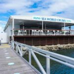 Gold Coast: Whale Watching Cruise & Sea World Entry - What to Expect from the Whale Watching Cruise