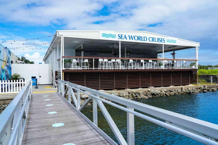 Gold Coast: Whale Watching Cruise & Sea World Entry - What to Expect from the Whale Watching Cruise