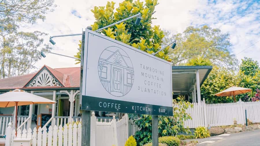 Gold Coast: Wine, Distillery & Rainforest Day Tour - What You Can Expect from the Itinerary