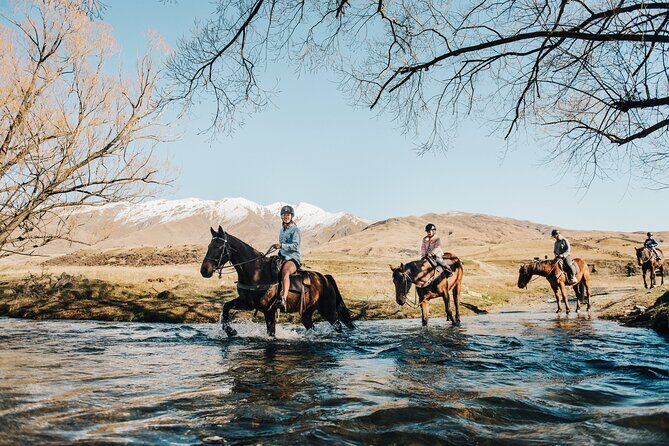 Gold Discovery Trail Horse Trek Cardrona - Most popular! - Practical Tips for Travelers