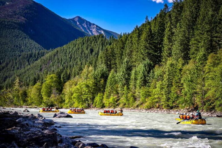 Golden, BC: Kicking Horse River Half Day Whitewater Rafting - The Value and Practicalities