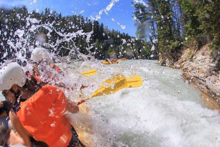 Golden, BC: Kicking Horse River Whitewater Raft Experience - The Itinerary Breakdown