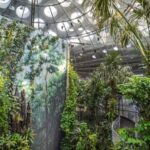 Golden Gate Park Tour With California Academy of Sciences - Who Should Consider This Tour?