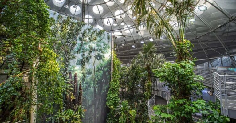 Golden Gate Park Tour With California Academy of Sciences - Who Should Consider This Tour?