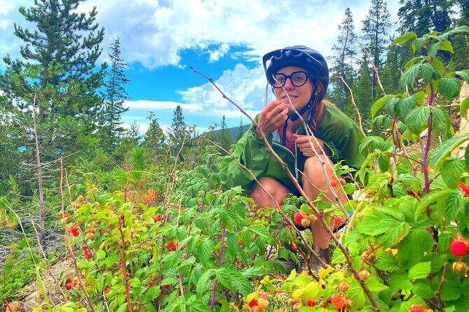 Golden to Red Rocks Electronic Bike Tour - Authentic Feedback and Insights