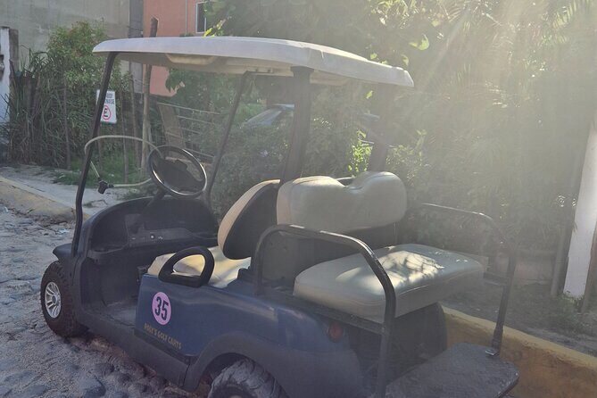 Golf Cart Rental in Sayulita - The Experience of Using the Electric Golf Cart