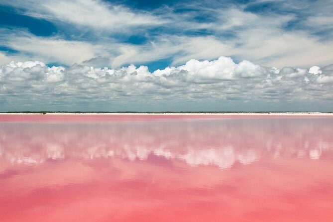 Gorgeous Natural Pink Lake, Las Coloradas Tour! From Cancun & Riviera Maya - Final Thoughts