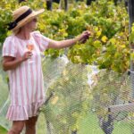 Gourmet Mystery Picnic Experience in Matakana - How Does It Work?