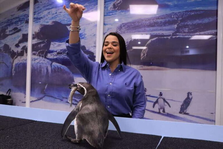 Gran Acuario Mazatlan - A Closer Look at the Itinerary and Highlights