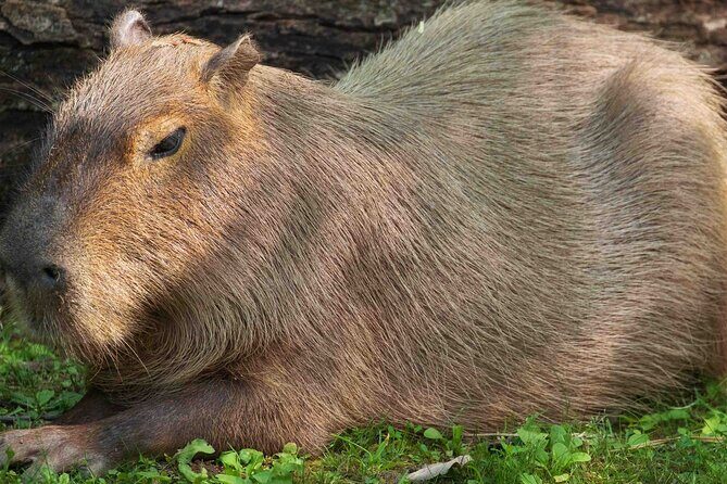 Granby Zoo 1 Day - A Deep Dive into the Granby Zoo Experience