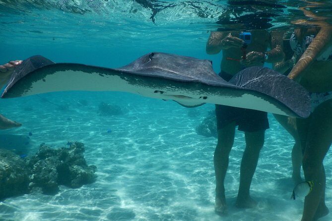 Grand Combo 3H00 of Jetski + 2H30 of Quad - Picking Up and Starting the Adventure